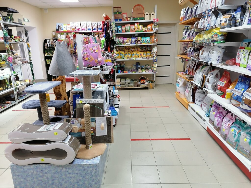 Petshop Рыжий кот, Kirov, foto