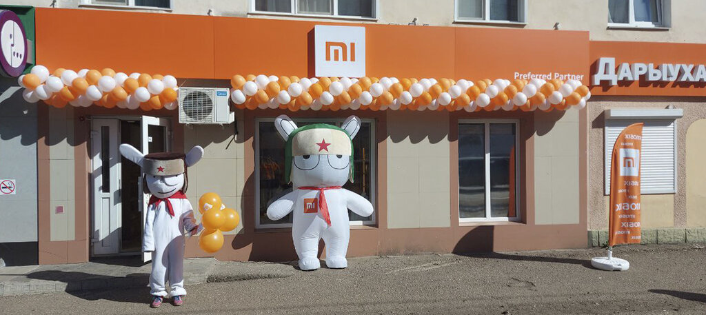 Cep telefonu aksesuarları Xiaomi, Kumertau, foto
