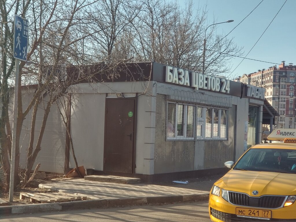 Çiçekçiler Baza Cvetov 24, Moskova ve Moskovskaya oblastı, foto