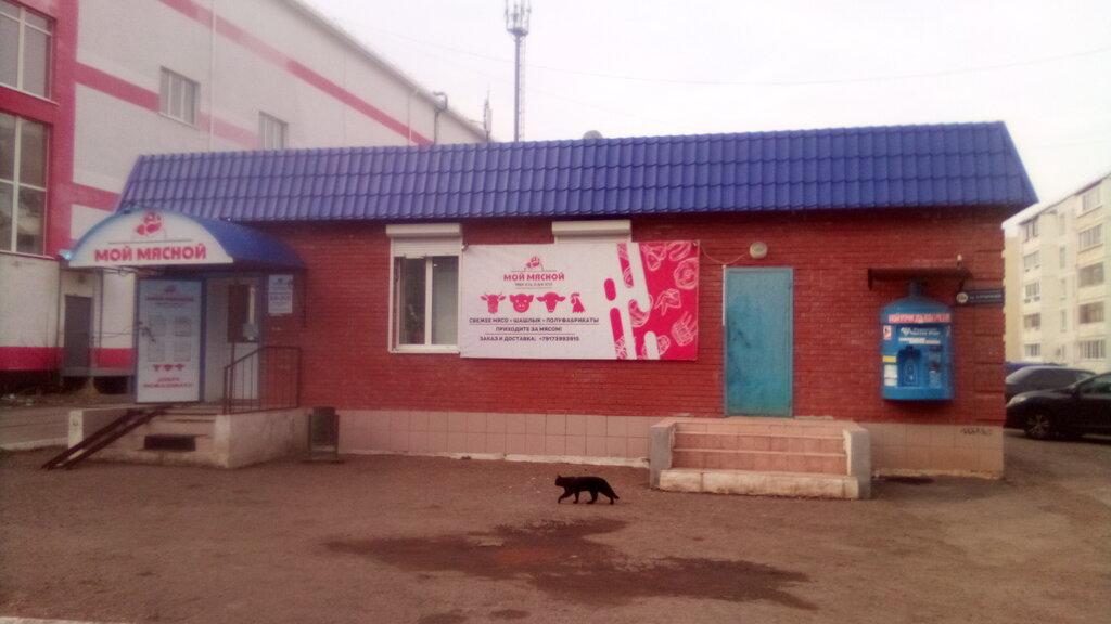 Kasap, şarküteri Мой мясной, Almetyevsk (Elmet), foto
