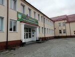 Озерская средняя школа имени Д. Тарасова (ulitsa Suvorova No:15), ortaokul  Ozersk'ten
