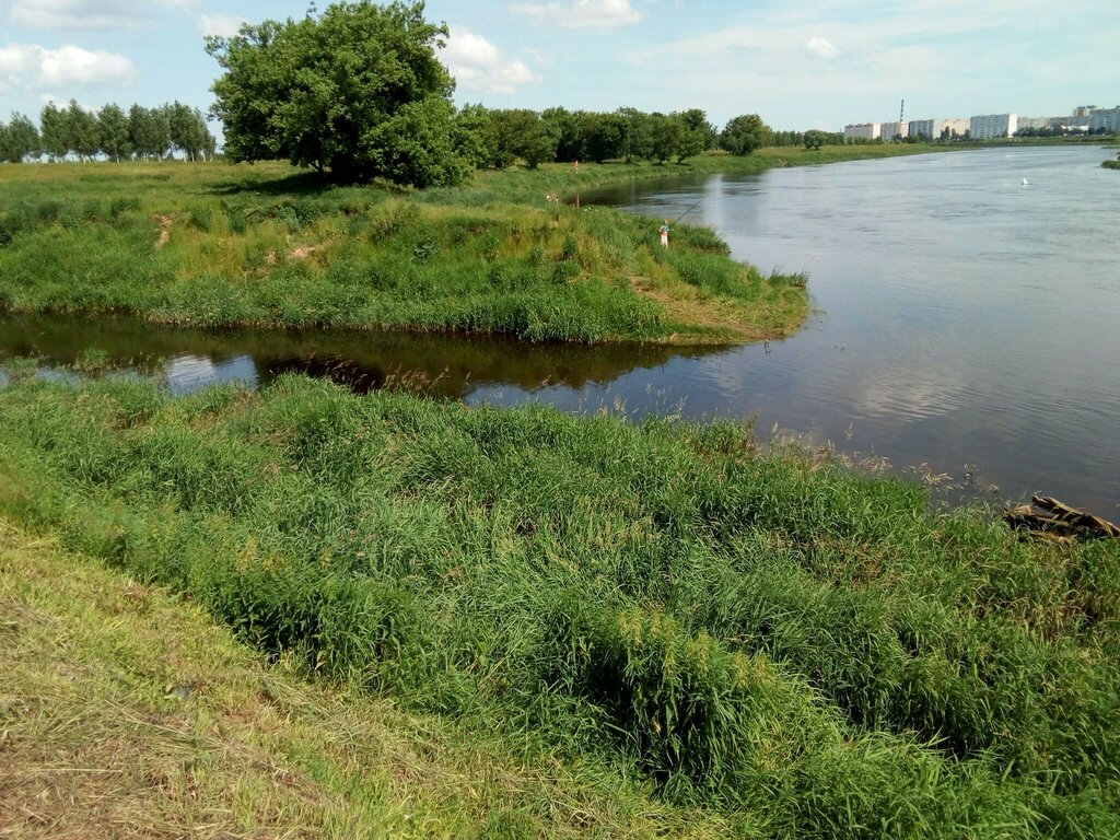 Piknik alanı Место отдыха на р. Сенна, Mogiliovskaya oblastı, foto