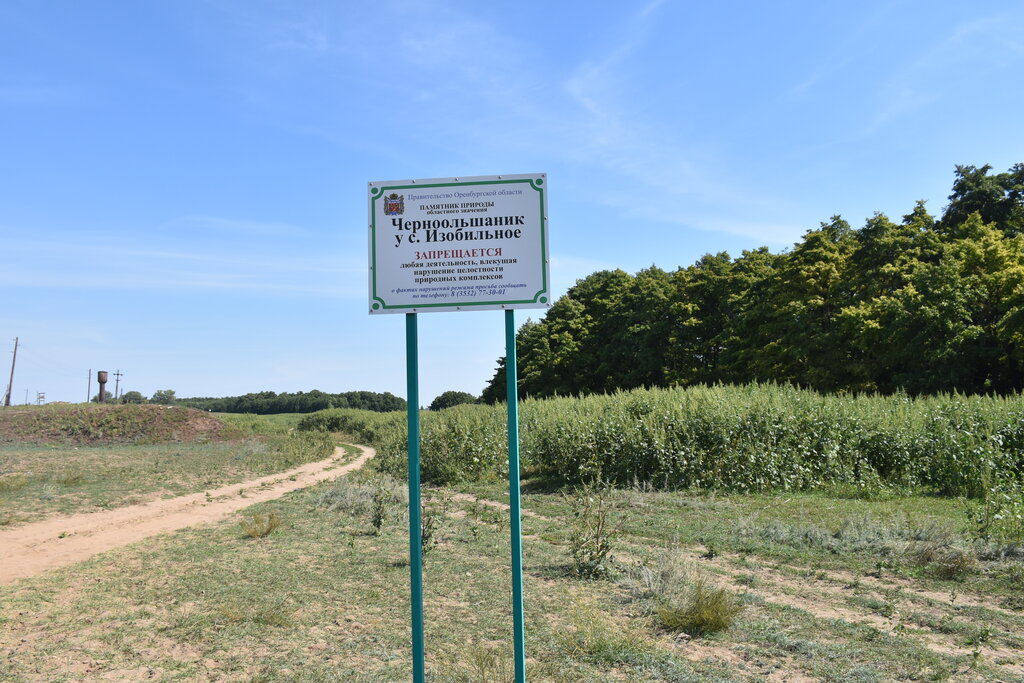 Doğa Черноольшаник, Orenburgskaya oblastı, foto