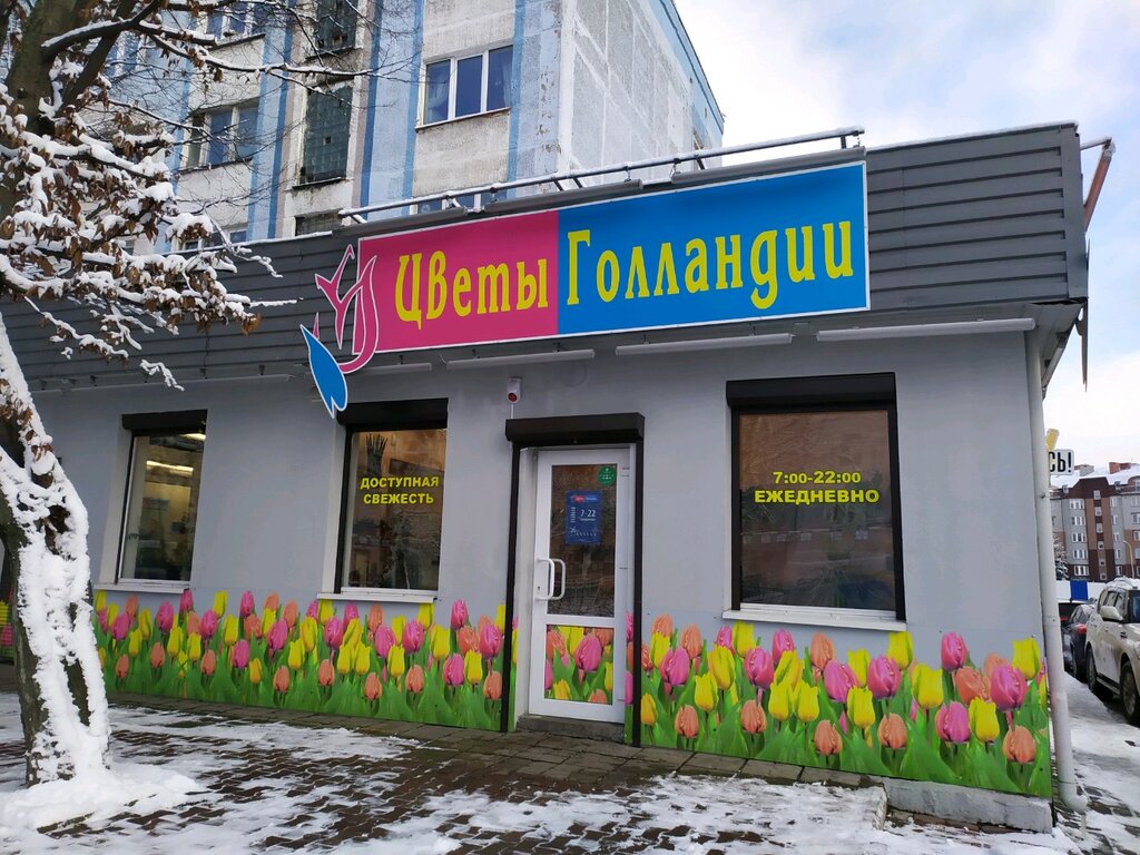 Çiçekçiler Cvety Gollandii, Kaliningrad, foto