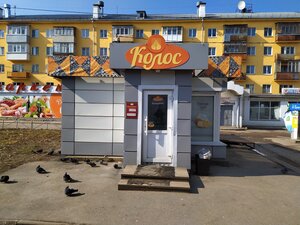 Parikmakherskaya Lokon (ulitsa Chernyshevskogo No:103), kuaförler  Vologda'dan