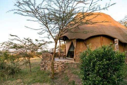 Otel Amani Mara Camp, Dünya, foto