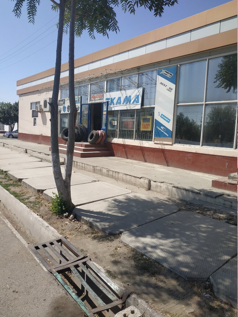 Otomobil yedek parçaları Avtomir, Siriderya eyaleti, foto