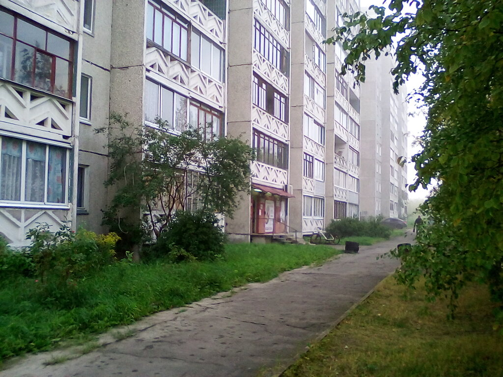 Süpermarket Бородинский, Petrozavodsk, foto