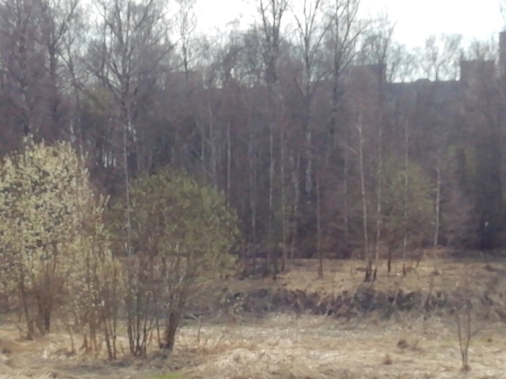 Mezarlıklar Старое кладбище Авдотьино, İvanovo, foto