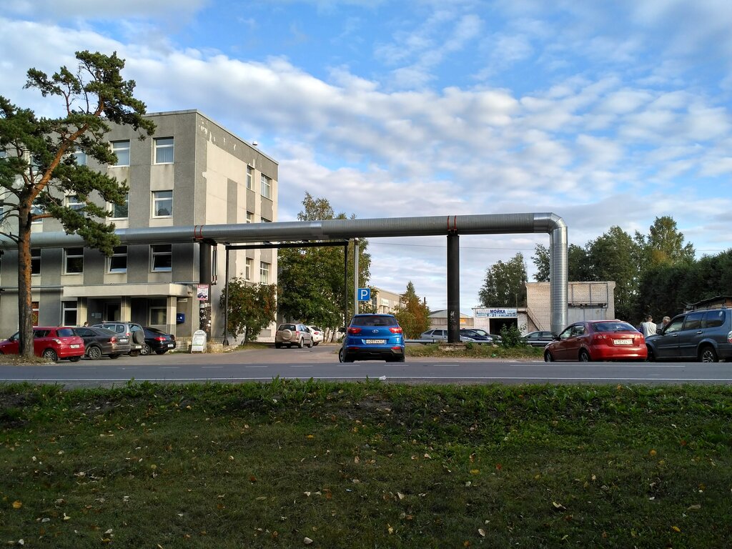 Arama çalışmaları Geodezicheskaya firma Karta, Priozersk, foto