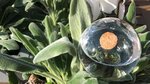 Blomstermakarna (Västra Götalands län, Mölndal, Mölndal), çiçekçiler  Vastra Gotaland Vilayeti'nden