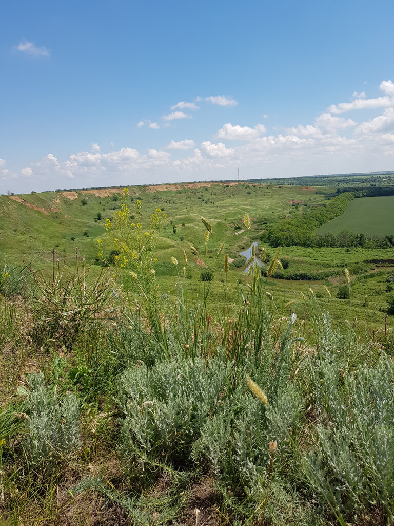 Turistik yerler Три хазарских кургана, Rostovskaya oblastı, foto