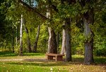 Vysoty 2 (Kaluga Region, Maloyaroslavetskiy District, selskoye poseleniye Kollontay, SNT Vysoty-2), arazi dizisi  Kalujskaya oblastından