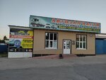 Автозапчасти (ulitsa Gazovikov No:11, posyolok Krasninskiy), otomobil yedek parçaları  Lipetskaya oblastından