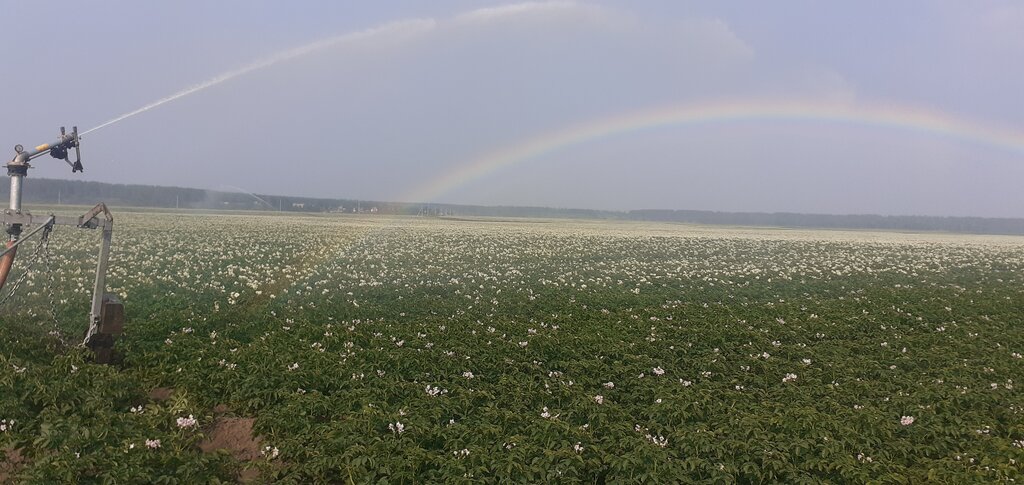 Tarım firmaları Kfh Malta, İrkutskaya oblastı, foto