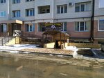 Янтарный источник (Chekhova Street No:67), bira dükkanı  Stavropol'dan