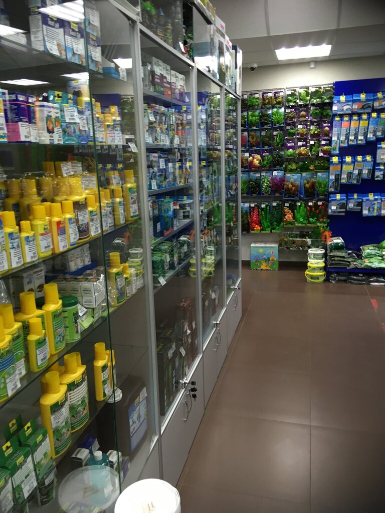 Petshop Зоомаркет Розовый слон, Habarovsk, foto