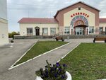 Офис по оформлению документов Самарского агентства фирменного транспортного обслуживания на станции Обшаровка (Vokzalnaya ulitsa No:1, selo Obsharovka), demiryolu kargo  Samarskaya oblastından