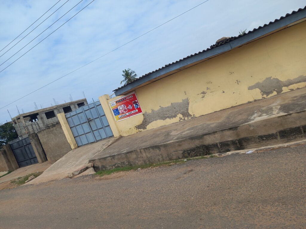 Gıda pazarı Pigsty farm, Akra, foto