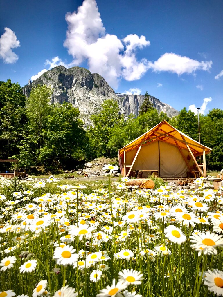 Kamp alanları Кемпинг, Gudauta Bölgesi, foto