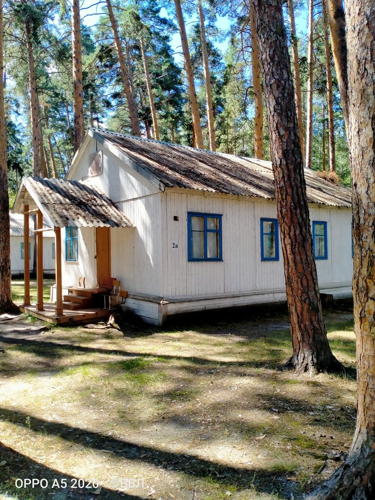 Tatil köyleri База отдыха Чайка МБУ Спортивная школа г. Коркино, Çeliabinskaya oblastı, foto