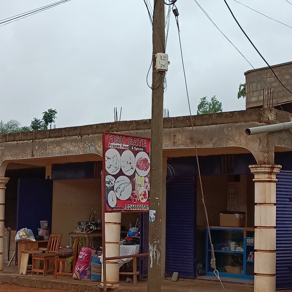 Dondurulmuş gıda firmaları Fish Gate, Dünya, foto