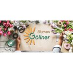 Blumen Göllner (Dauphinestraße No:21, Puchenau), çiçek teslimatı  Linz'den