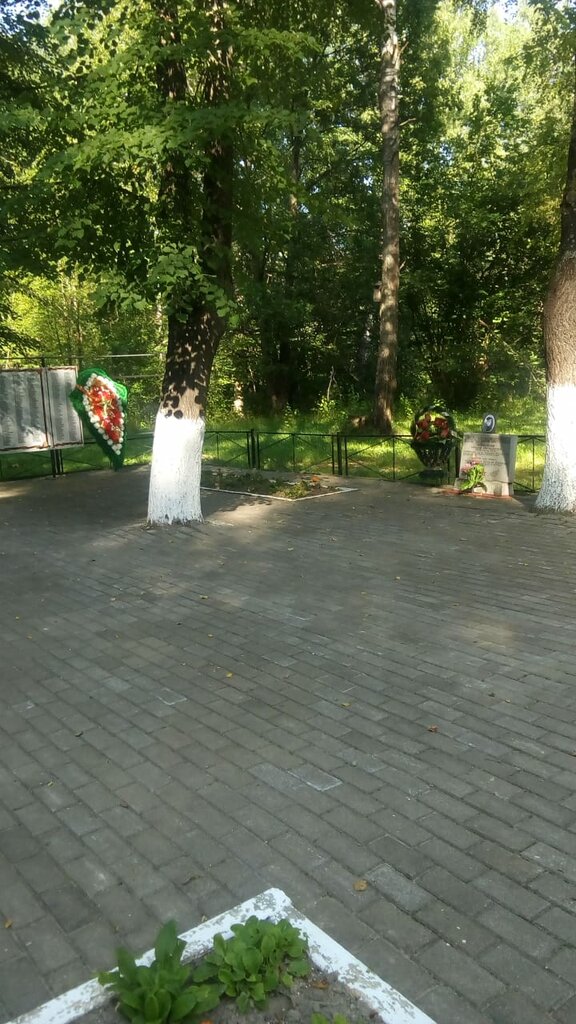 Anıt, heykel Братская могила, Kalujskaya oblastı, foto