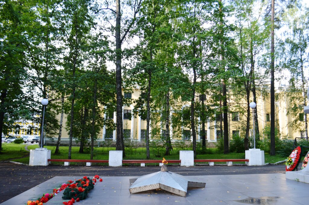 Anıt, heykel Воинам-бабаевцам, погибшим в годы Великой Отечественной войны, Babayevo, foto