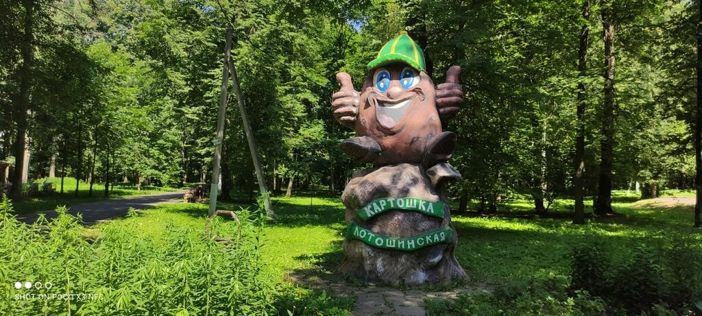 Park, sokak heykeli Картошка, Moskova ve Moskovskaya oblastı, foto