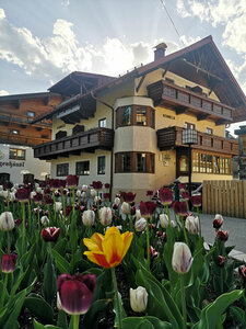 Chalet Sonneck (Tyrol, Innsbruck-Land, Klosterstraße), otel  Tirol'den