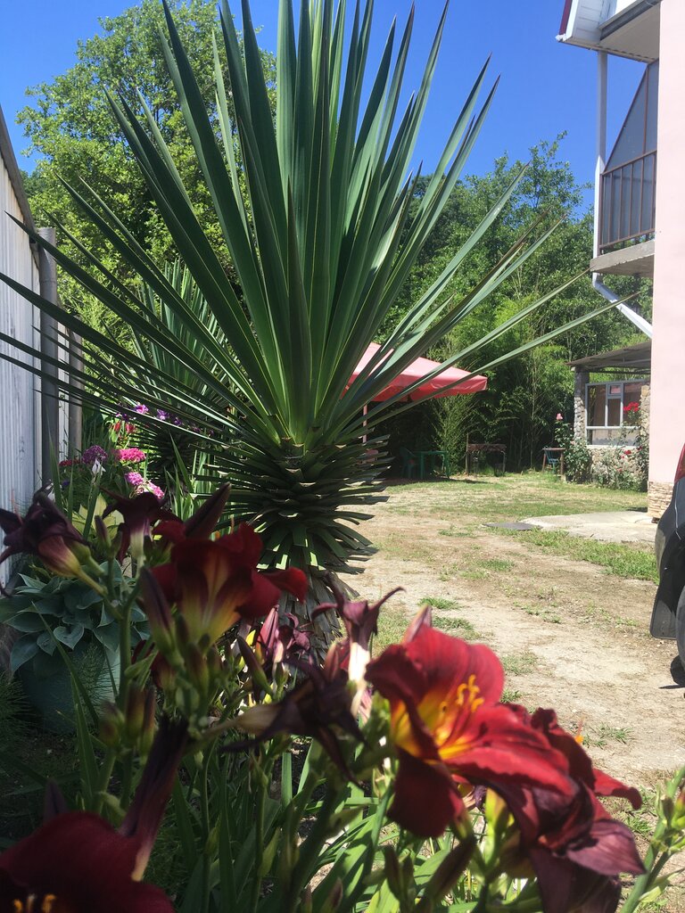 Otel Виктория, Soçi, foto