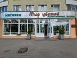 Mir Tsvetov i Dekorativnykh Rasteny magazin № 1 Kpup Mogilevzelenstroy (Piershamajskaja vulica No:67), çiçekçiler  Moguilev'den