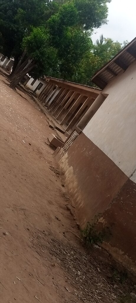 Ortaokul Shai D/a Jhs, Dünya, foto