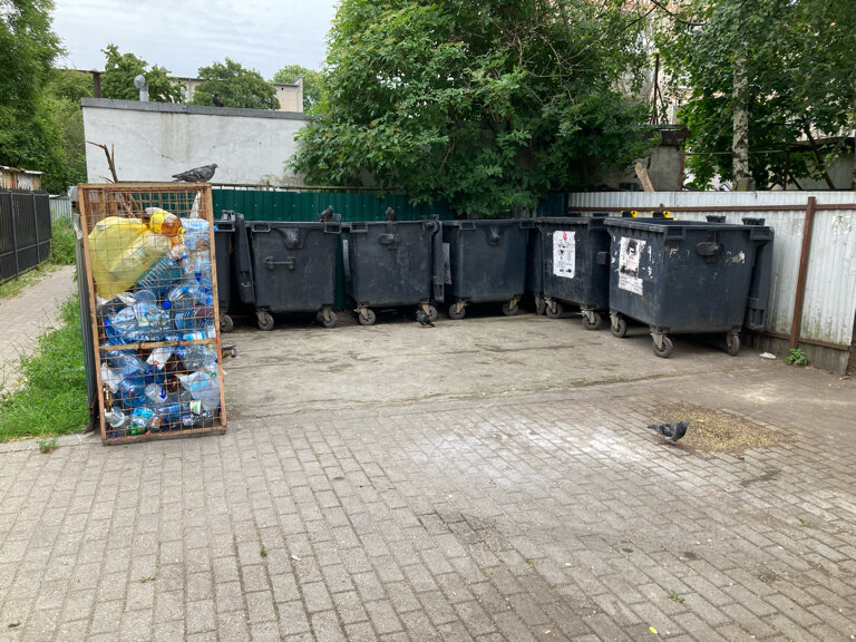 Çöp alanları Trash and garbage disposal area, Kaliningrad, foto