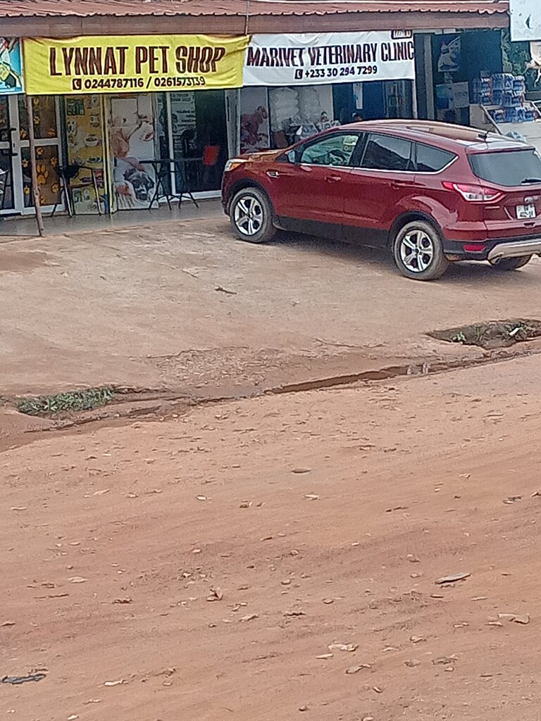 Petshop Lynnat Pets & More - Aplaku branch, Dünya, foto