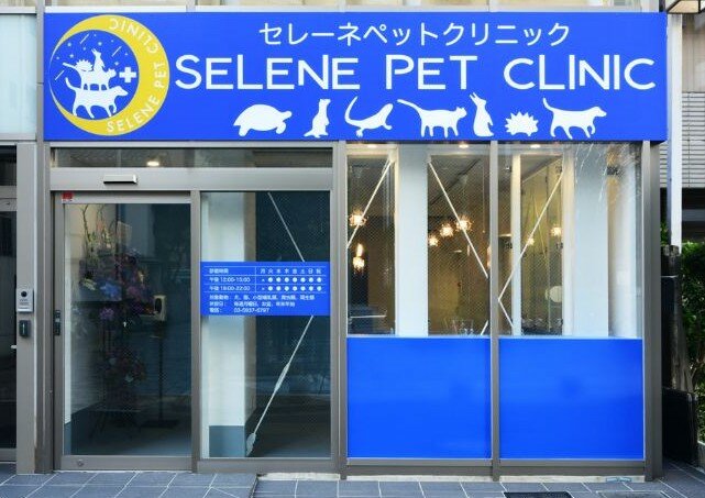 Veteriner klinikleri セレーネペットクリニック, Tokyo, foto