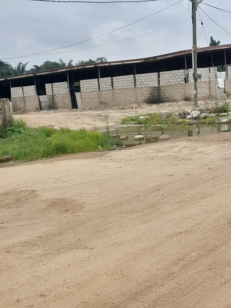 Ortodoks kiliseleri Divine Prayer Camp, Dünya, foto