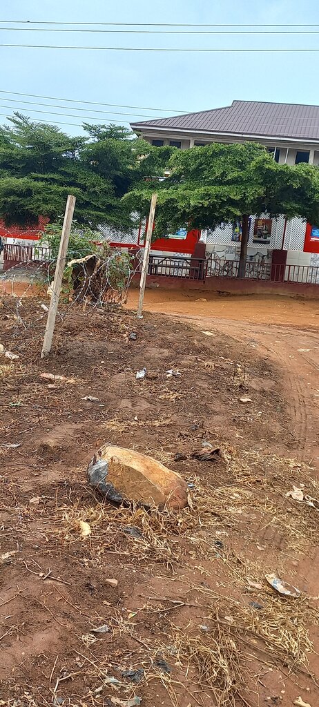 Bar Uncle George's Pub, Dünya, foto