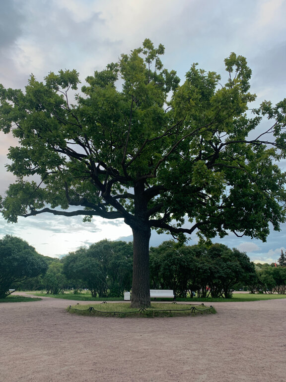 Bank Bench, Saint‑Petersburg, foto