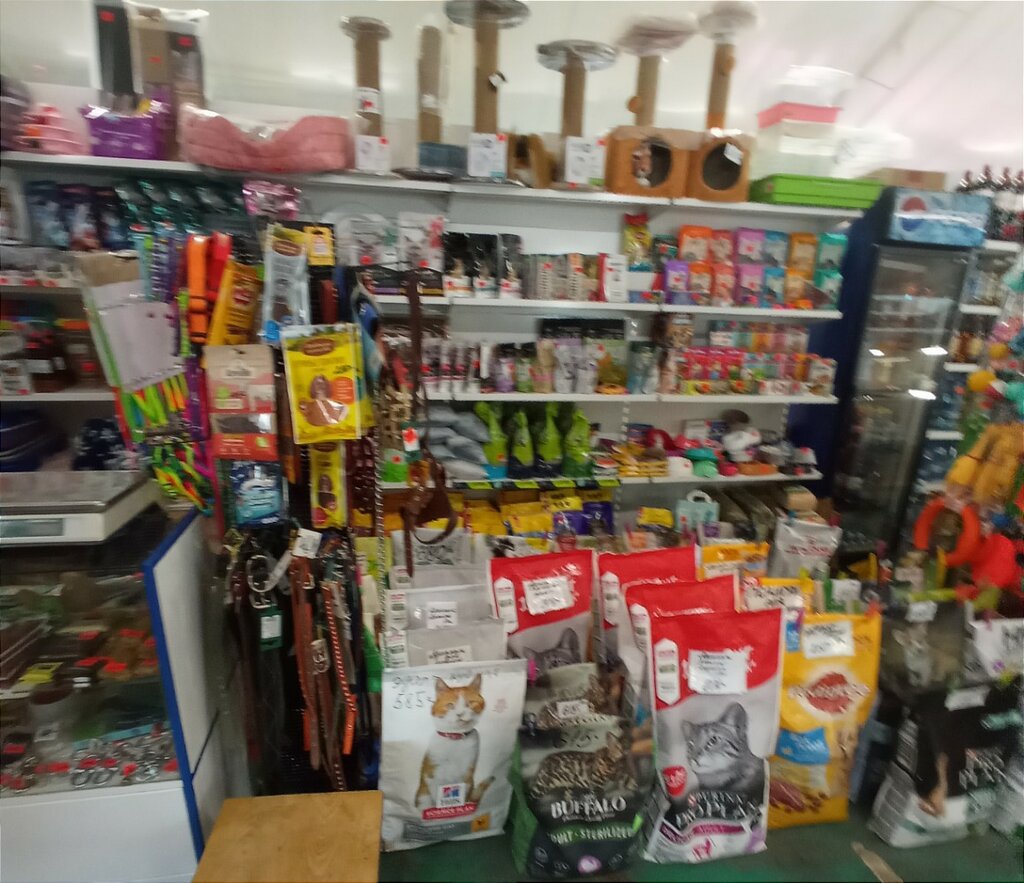 Petshop Друг человека, Krasnoyarsk, foto