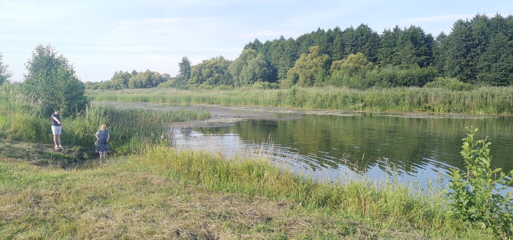 Plaj Немецкий пляж, Tambovskaya oblastı, foto