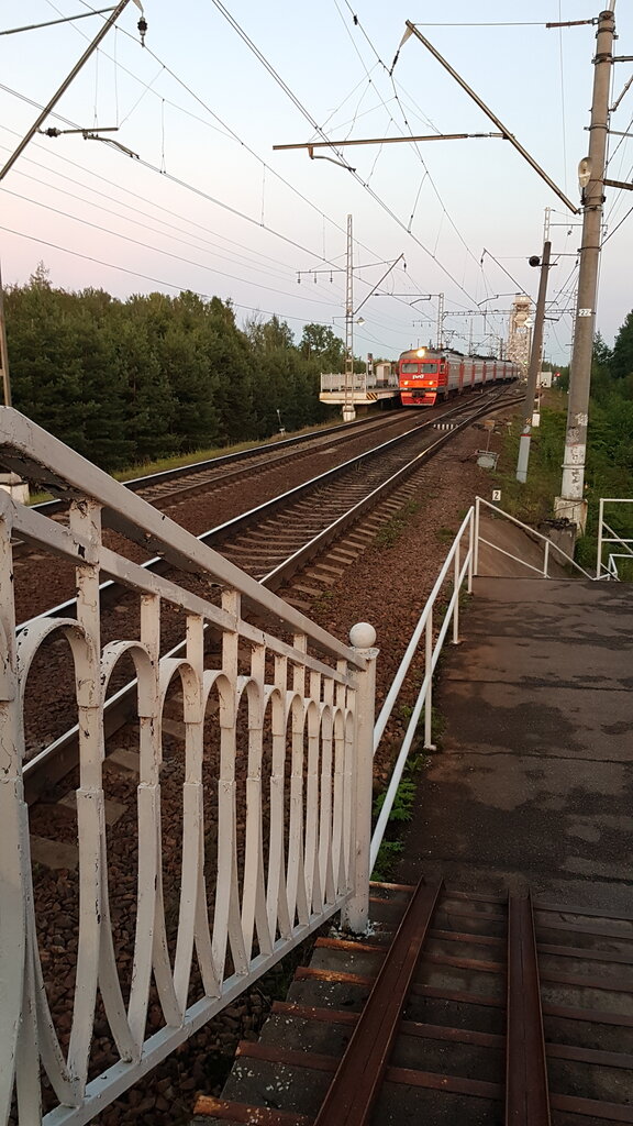 Tren istasyonu платформа Кузьминский мост, Saint‑Petersburg ve Leningradskaya oblastı, foto