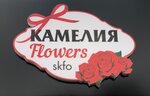 Kamelia_flowers_skfo (prospekt Kalinina No:299А, posyolok Goryachevodskiy), çiçekçiler  Stavropolski krayından