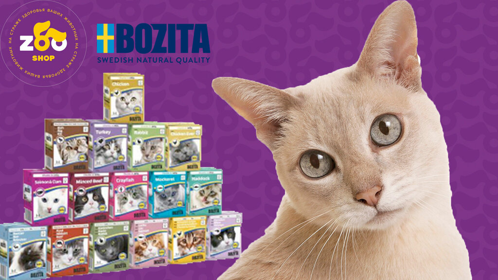 Petshop Zooshop, Magadan, foto