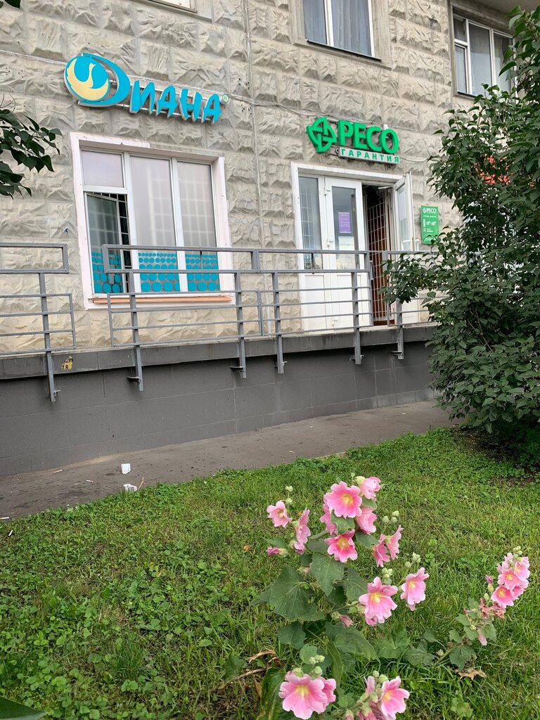 Kuru temizlemeciler Khimchistka Diana, Moskova, foto