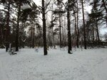 Спортивная станция (Sverdlovsk Region, munitsipalnoye obrazovaniye Yekaterinburg, Kirovskiy City administrative district, Shartashskiy Forest Park), spor alanı  Yekaterinburg'dan