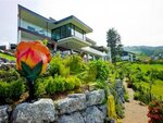 Peter Winder GmbH (Vorarlberg, Dornbirn), mimari proje firmaları  Vorarlberg'den