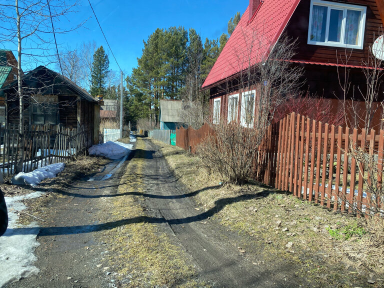 Bahçecilik dernekleri ve kuruluşları Сно Огонек, Novosibirskaya oblastı, foto