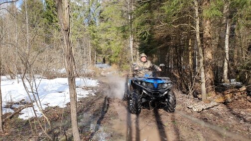 Kiralama noktası Квадроджамп, Moskova ve Moskovskaya oblastı, foto